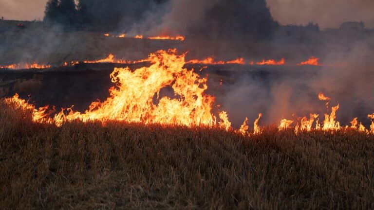 Samson's Riddle: 4 Facts and 4 Lessons