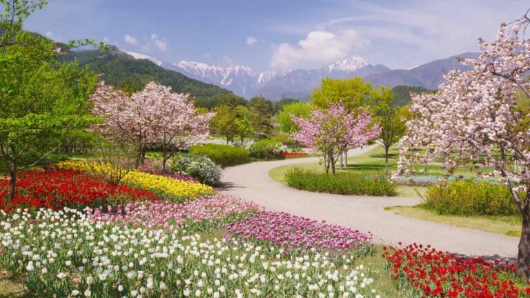 Garden of Eden: 10 Important Facts You Should Not Miss