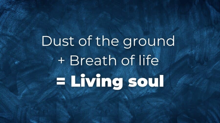 Why God Created Adam and Eve the Way He Did