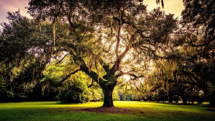 Adam and Eve: 6 Responsibilities God Entrusted Them With